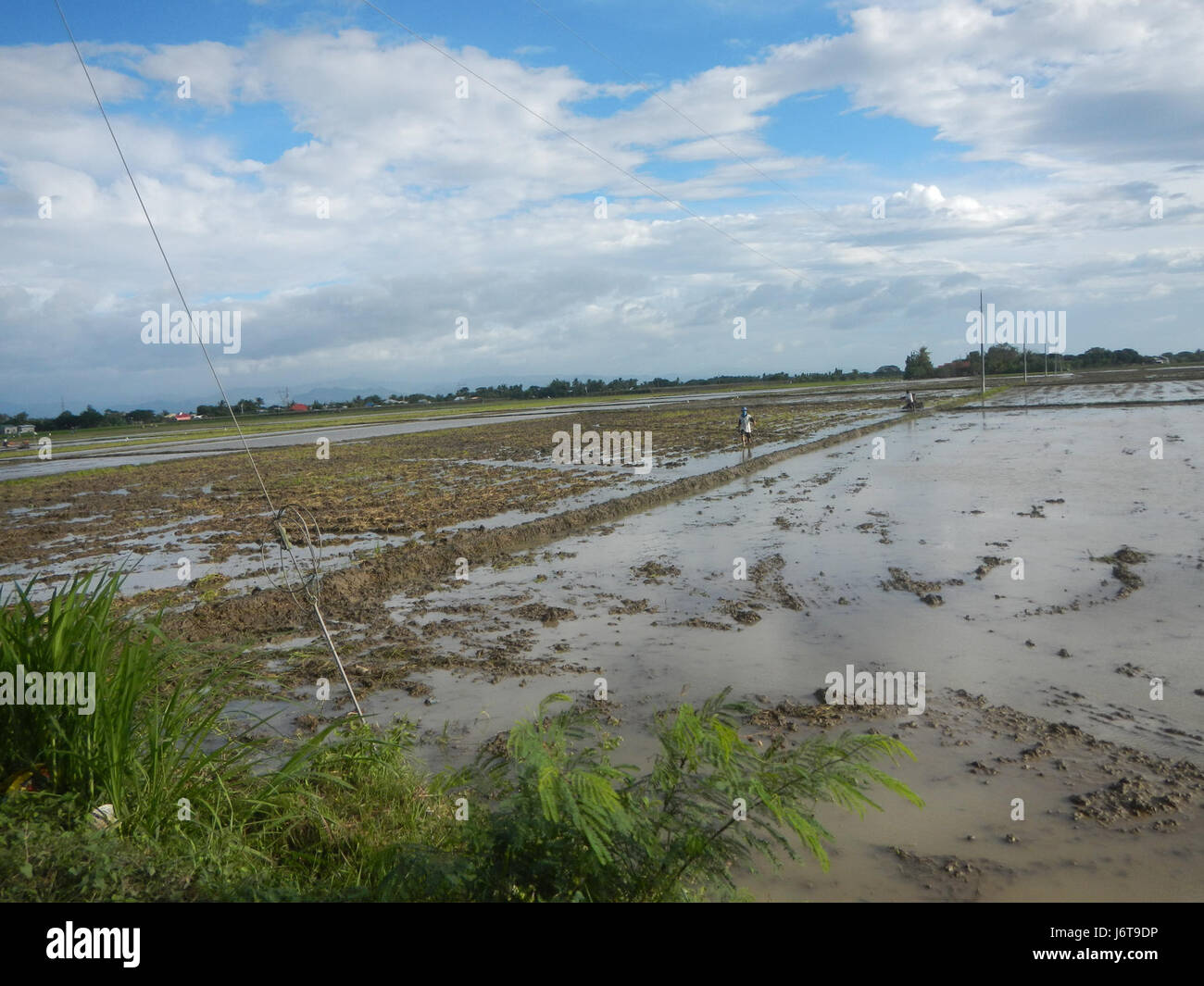 This image captures paddy fields in Bulualto, Parcutela, and Marelo in ...