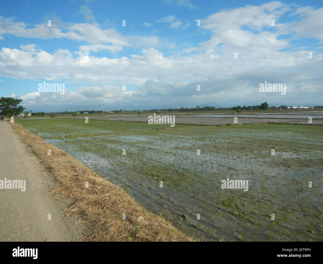 This reference describes the location of paddy fields in the region of ...