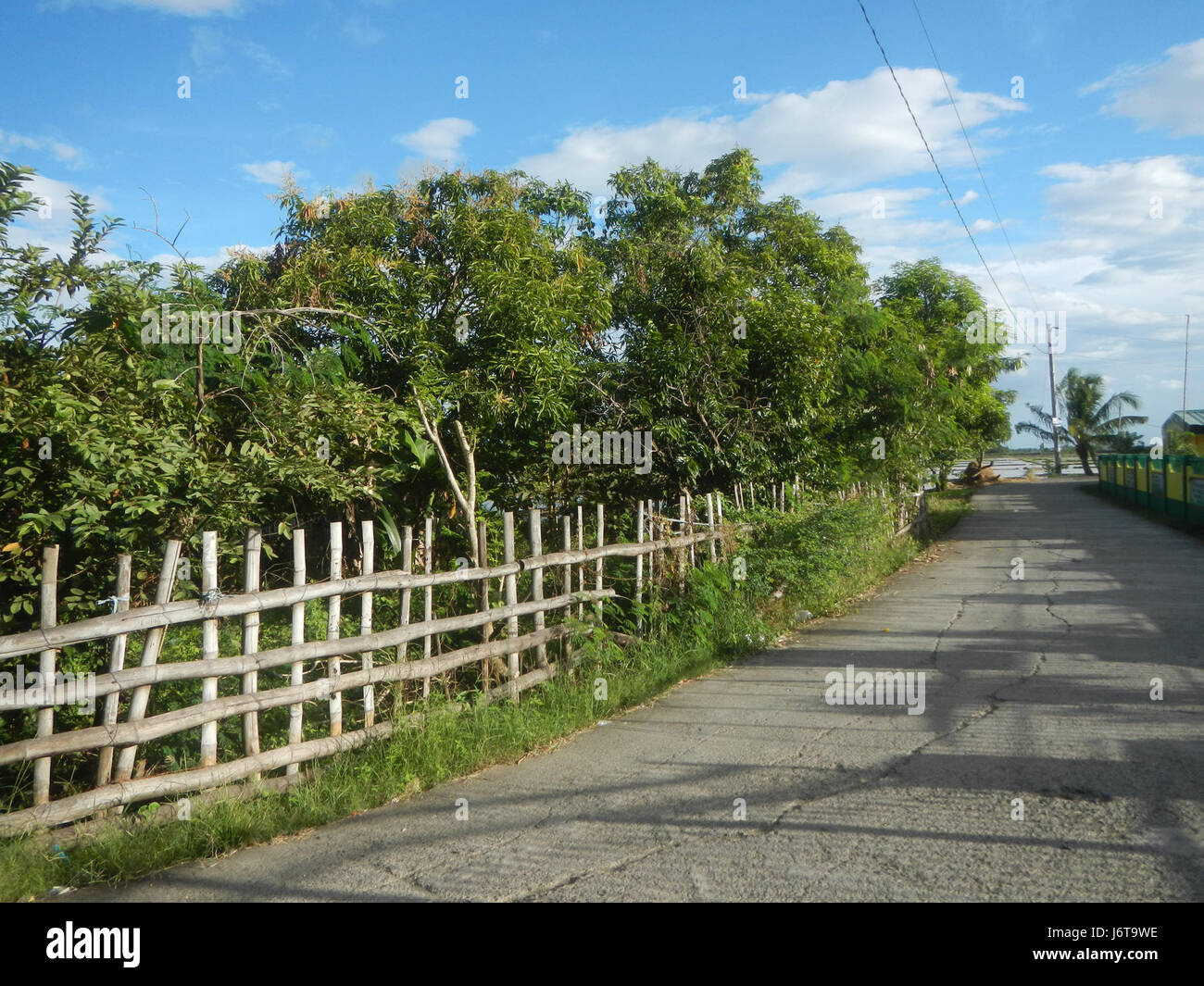 This image shows the paddy fields in Marelo Parcutela, Gapan City ...