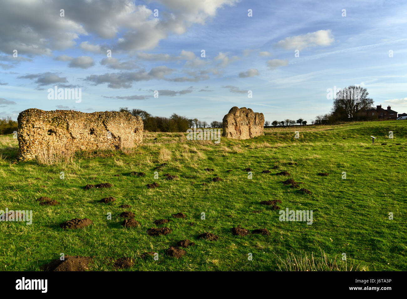 Tilty Abbey Ruins, Tilty, Essex Stock Photo - Alamy