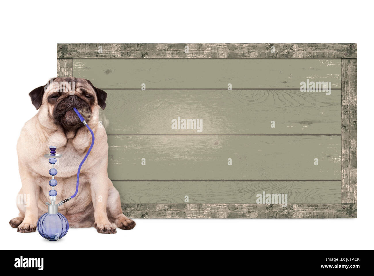 Dog smoking weed hi-res stock photography and images - Alamy