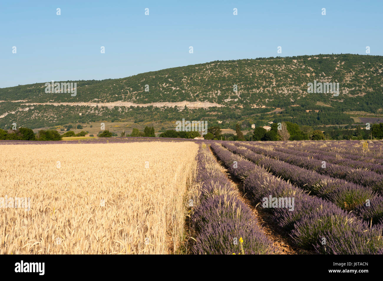 Sault, Provence, France Stock Photo - Alamy