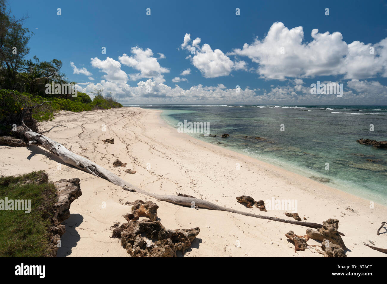 Denis Island, Seychelles Stock Photo - Alamy