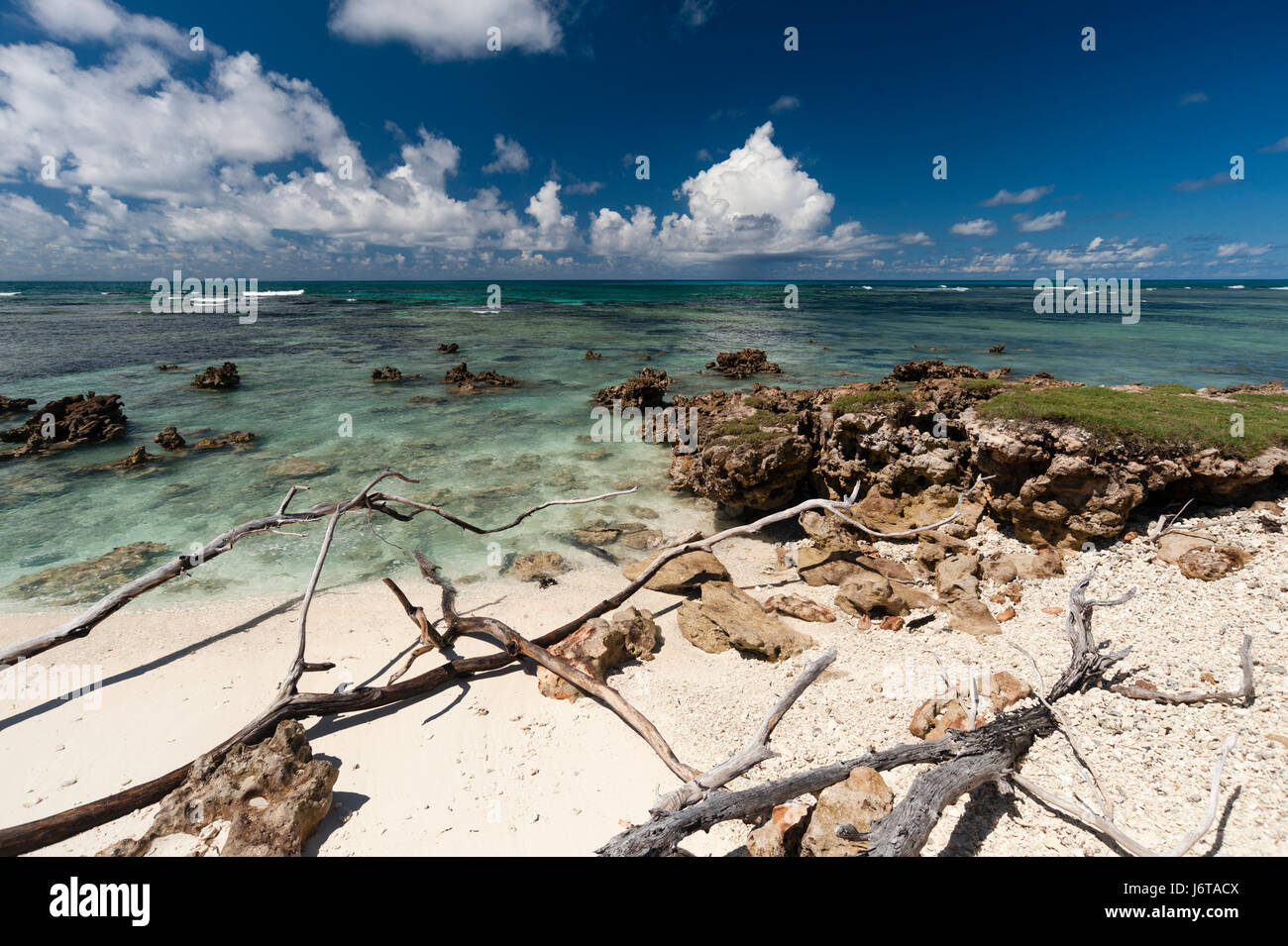 Denis Island, Seychelles Stock Photo - Alamy