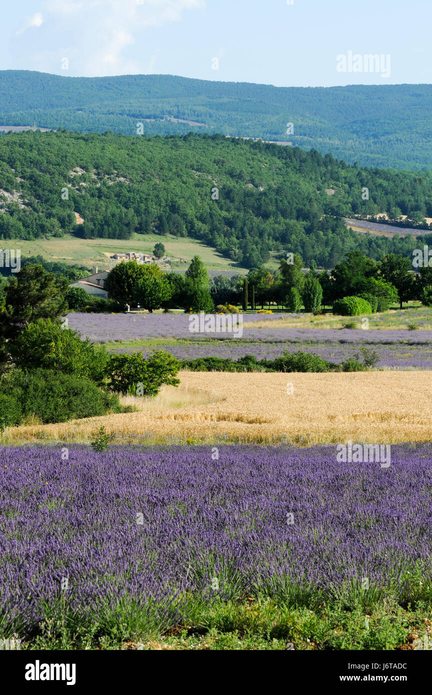 Sault, Provence, France Stock Photo - Alamy