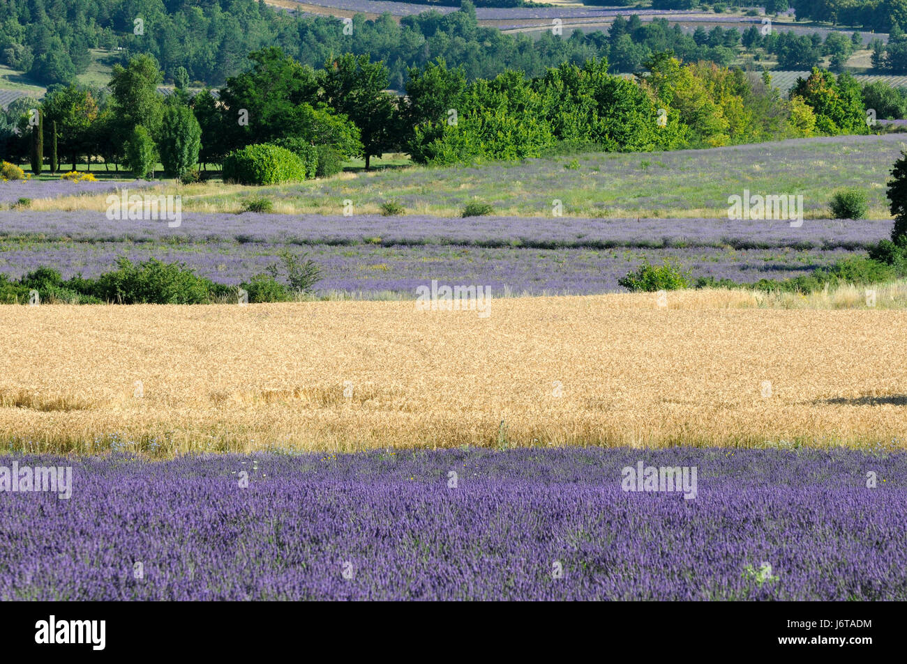 Sault, Provence, France Stock Photo - Alamy