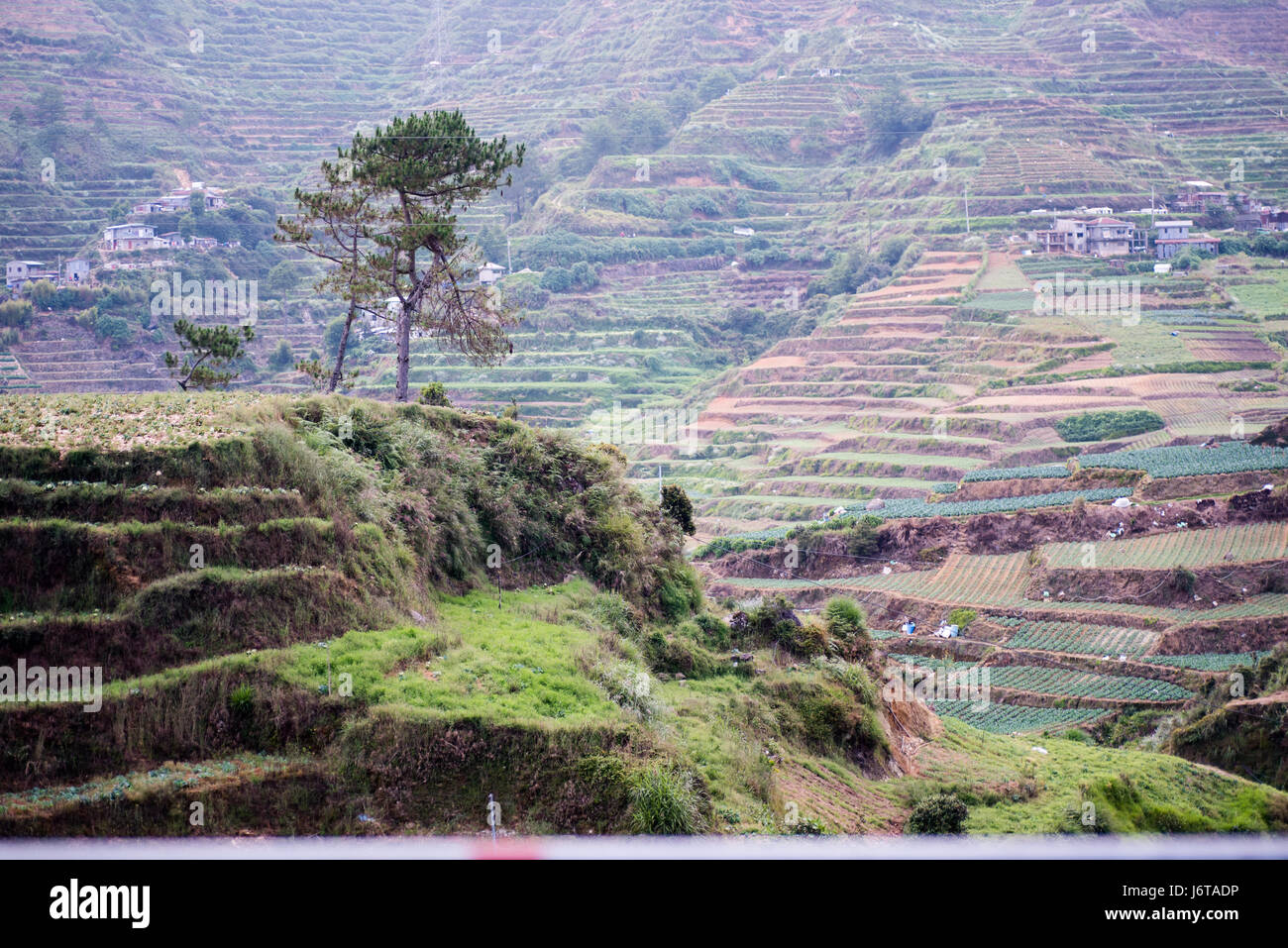 Sagada, Mountain Province, Philippines Stock Photo - Alamy