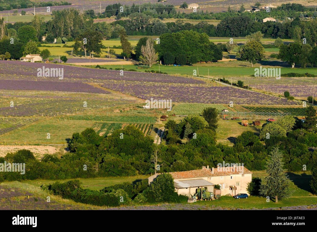 Sault, Provence, France Stock Photo - Alamy