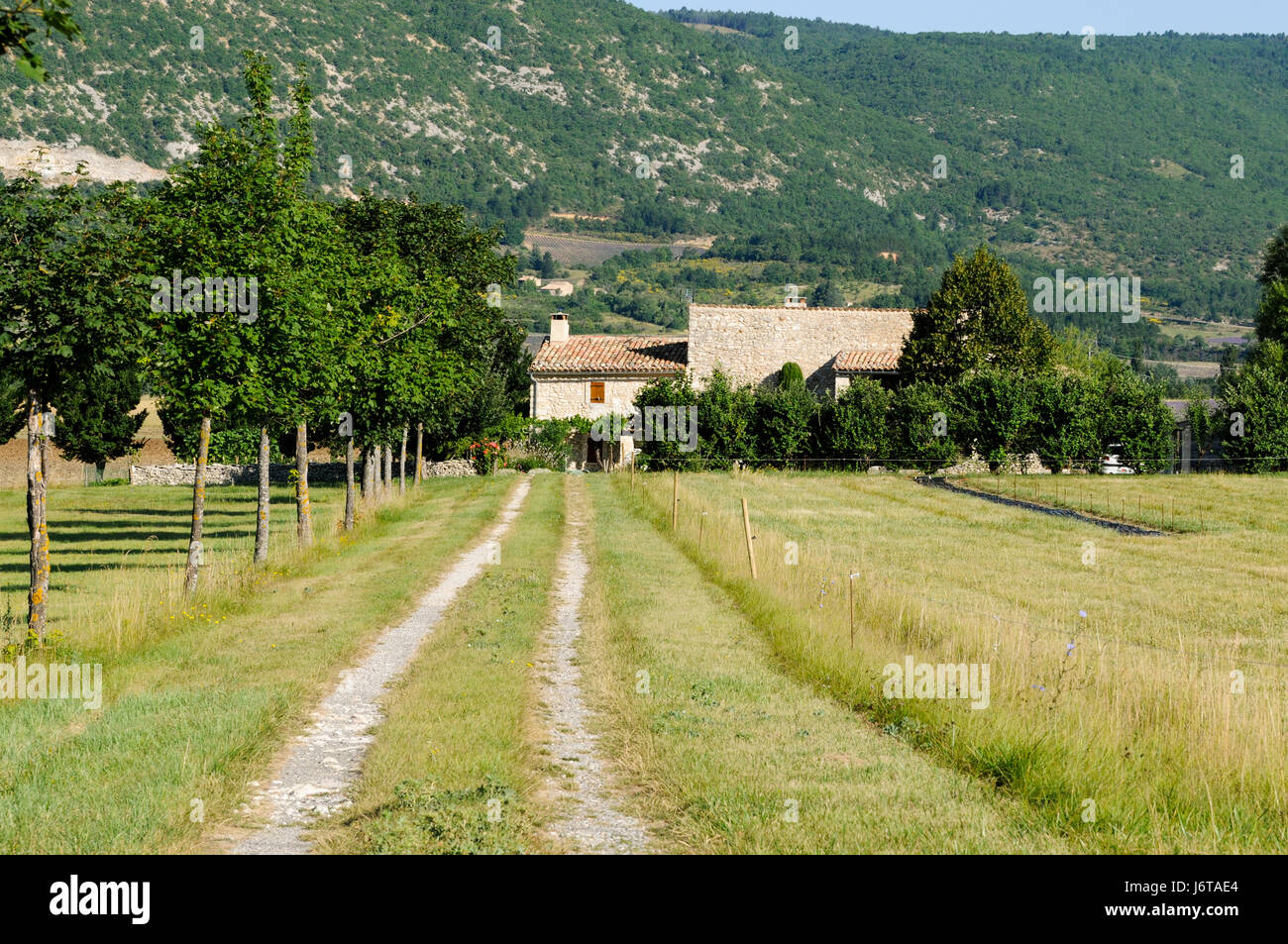 Sault, Provence, France Stock Photo - Alamy