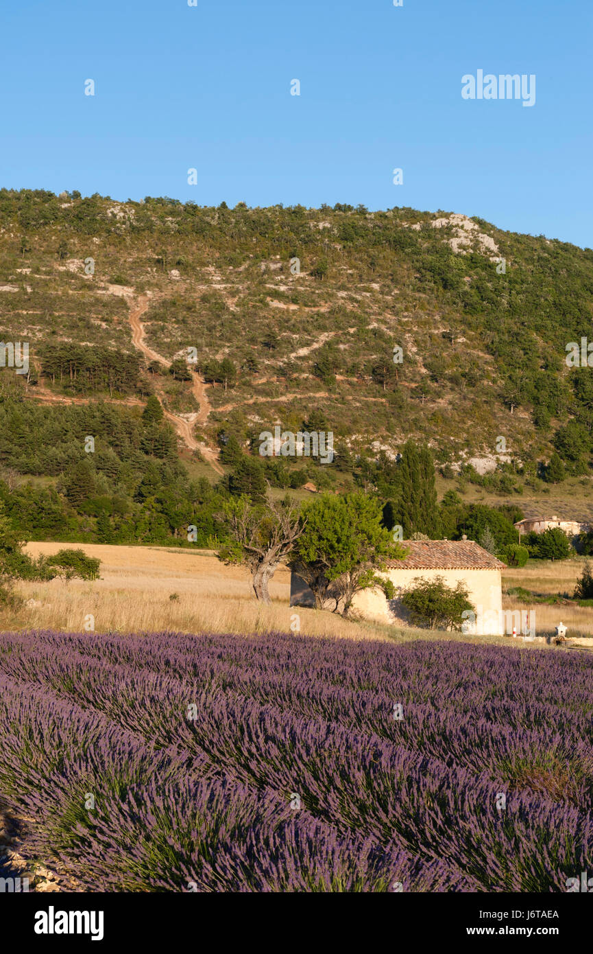 Sault, Provence, France Stock Photo - Alamy