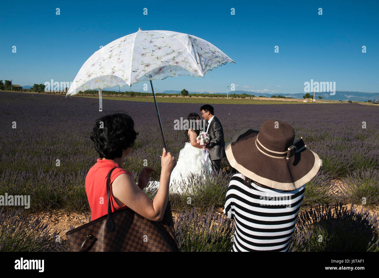 Valensole and provence hi-res stock photography and images - Alamy