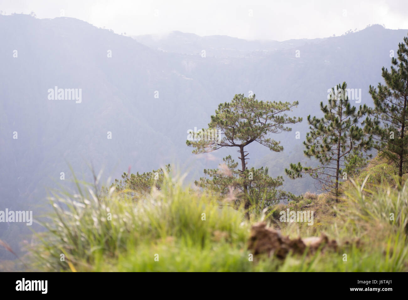 Sagada, Mountain Province, Philippines Stock Photo - Alamy