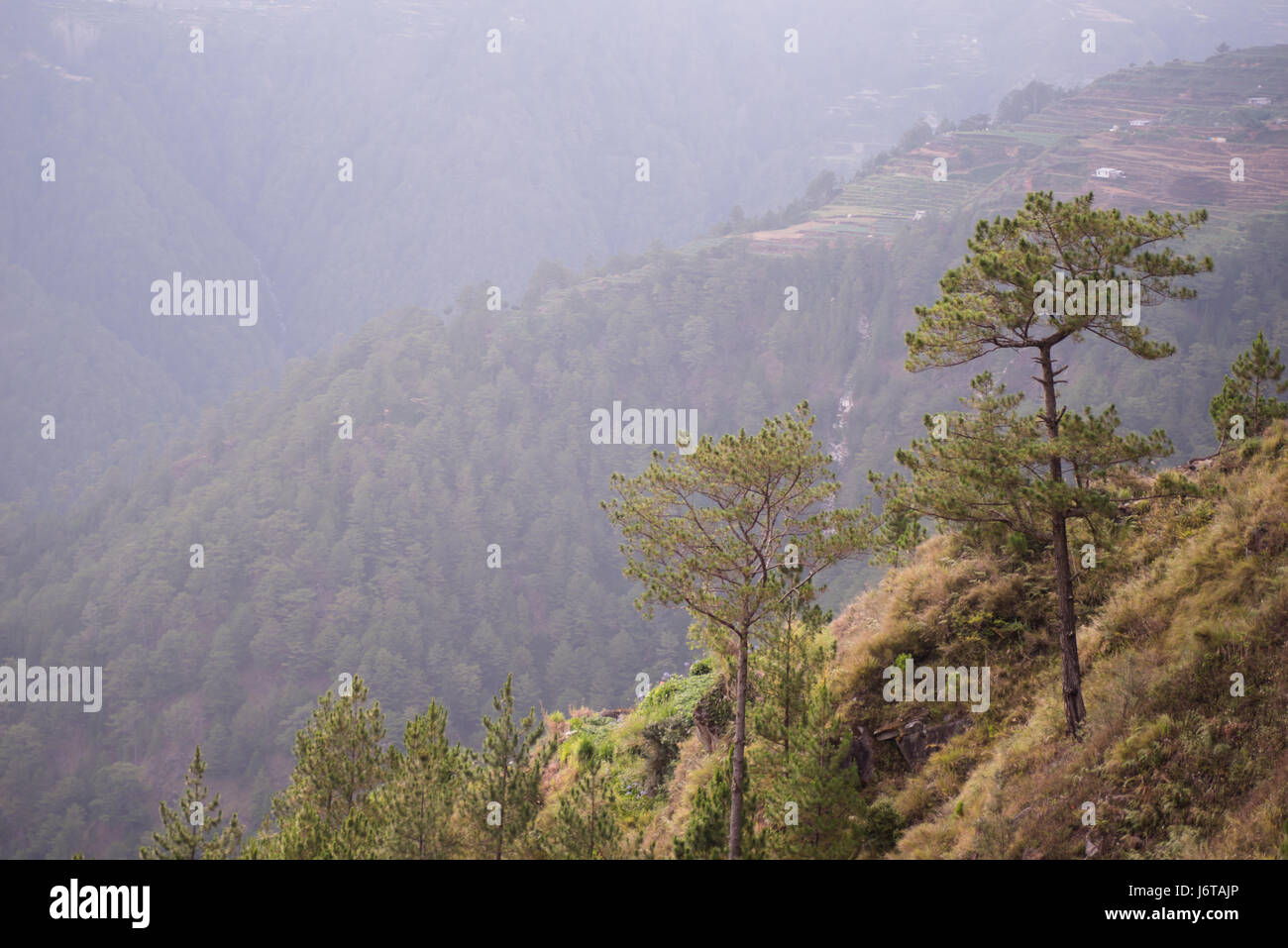 Sagada, Mountain Province, Philippines Stock Photo - Alamy