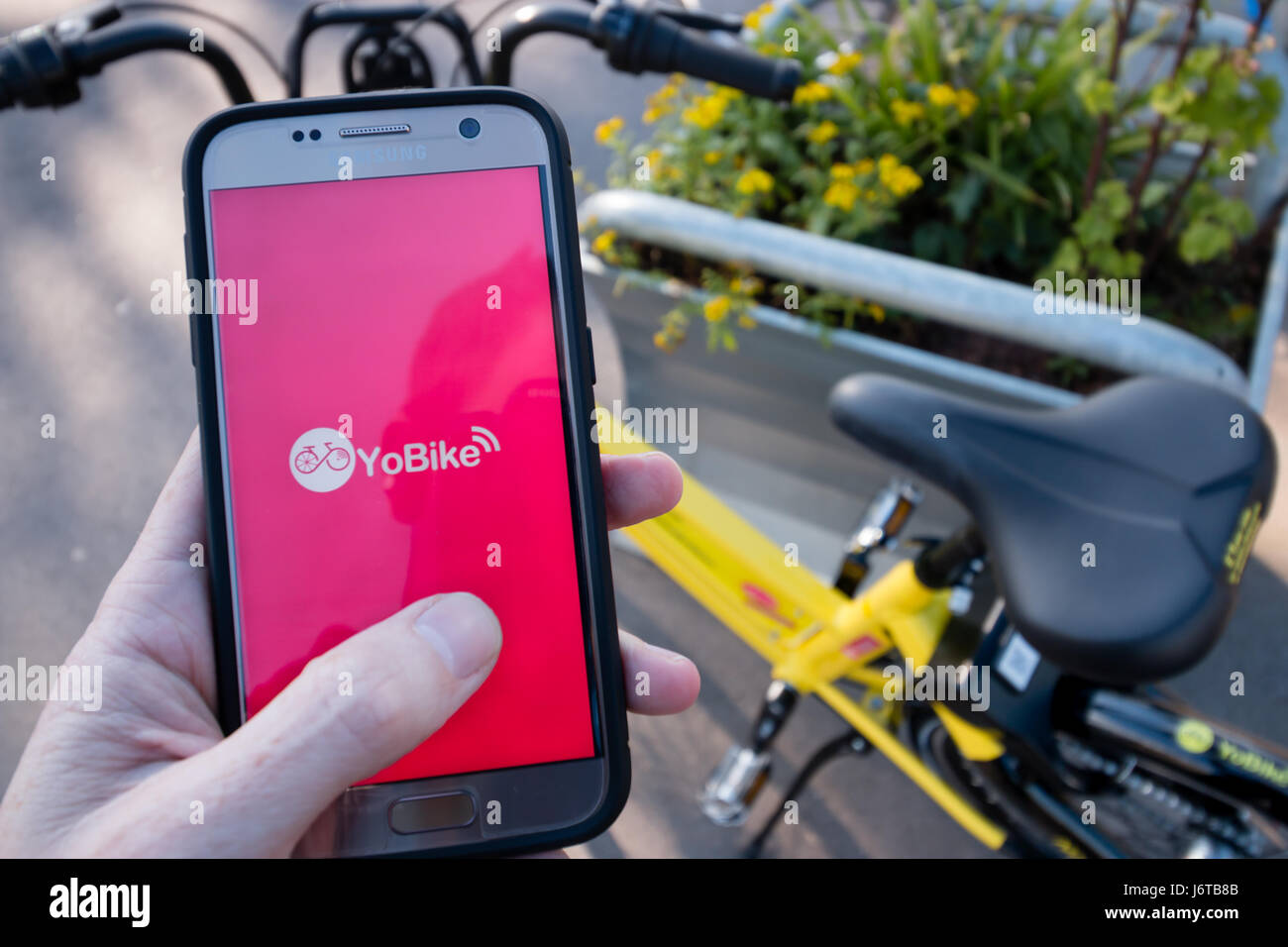 A 'YoBike': a GPS tracked bright yellow bicycle available to hire for £ ...