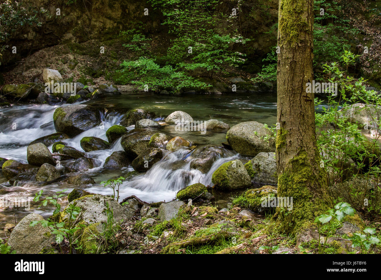 Mc cloud river cascade hi-res stock photography and images - Alamy