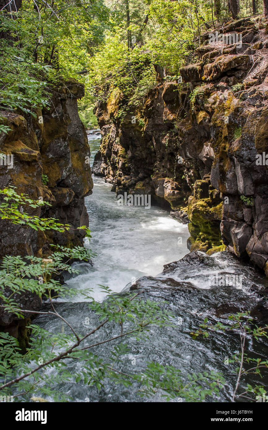 Rogue River Gorge, Oregon Stock Photo - Alamy