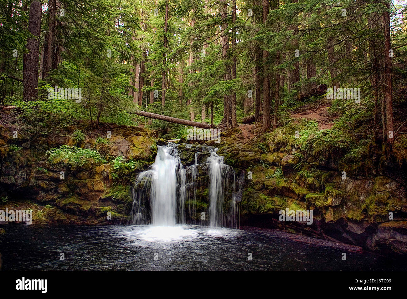 White Horse Falls, Umpqua River Oregon Stock Photo - Alamy