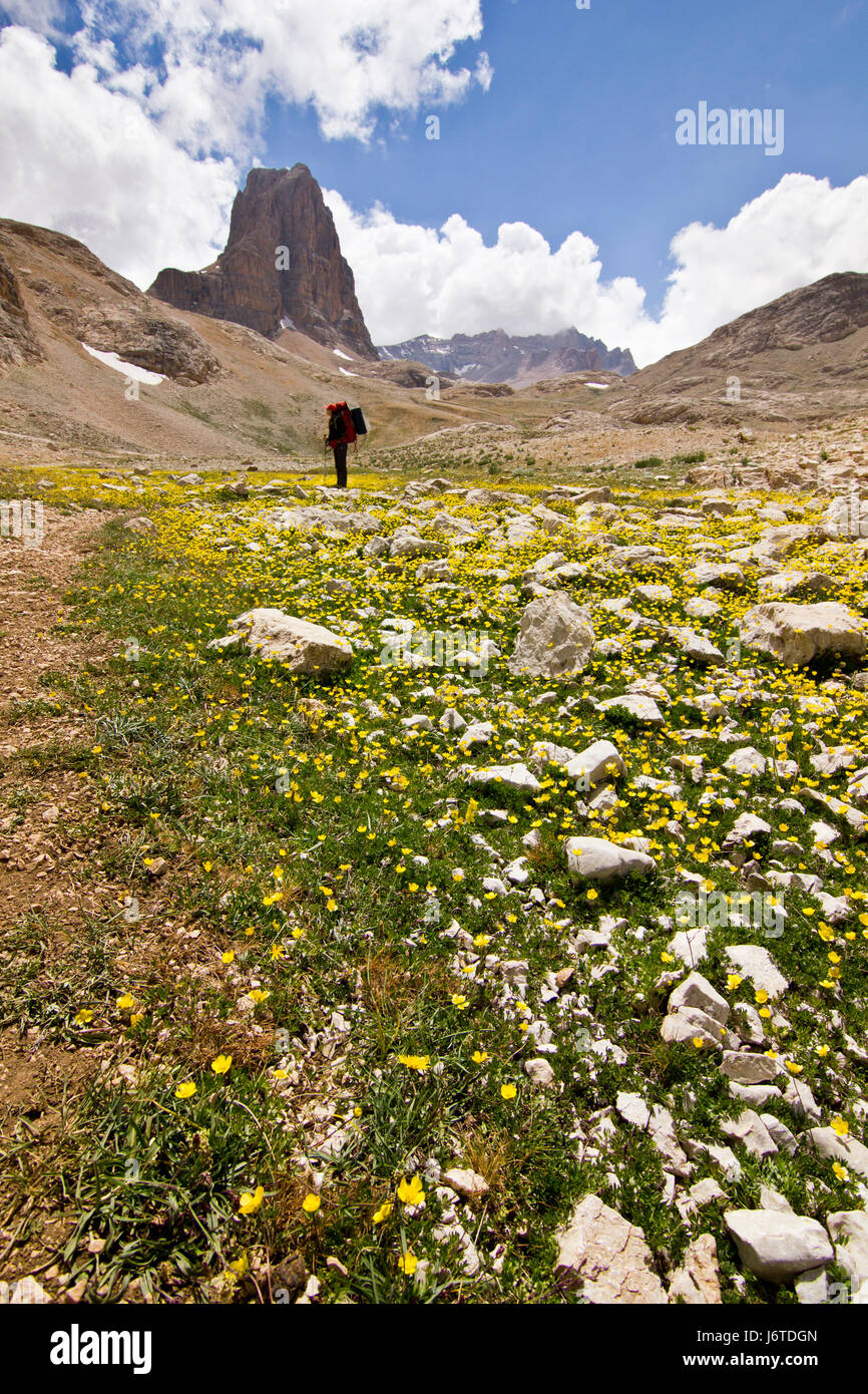 Edigol hi-res stock photography and images - Alamy