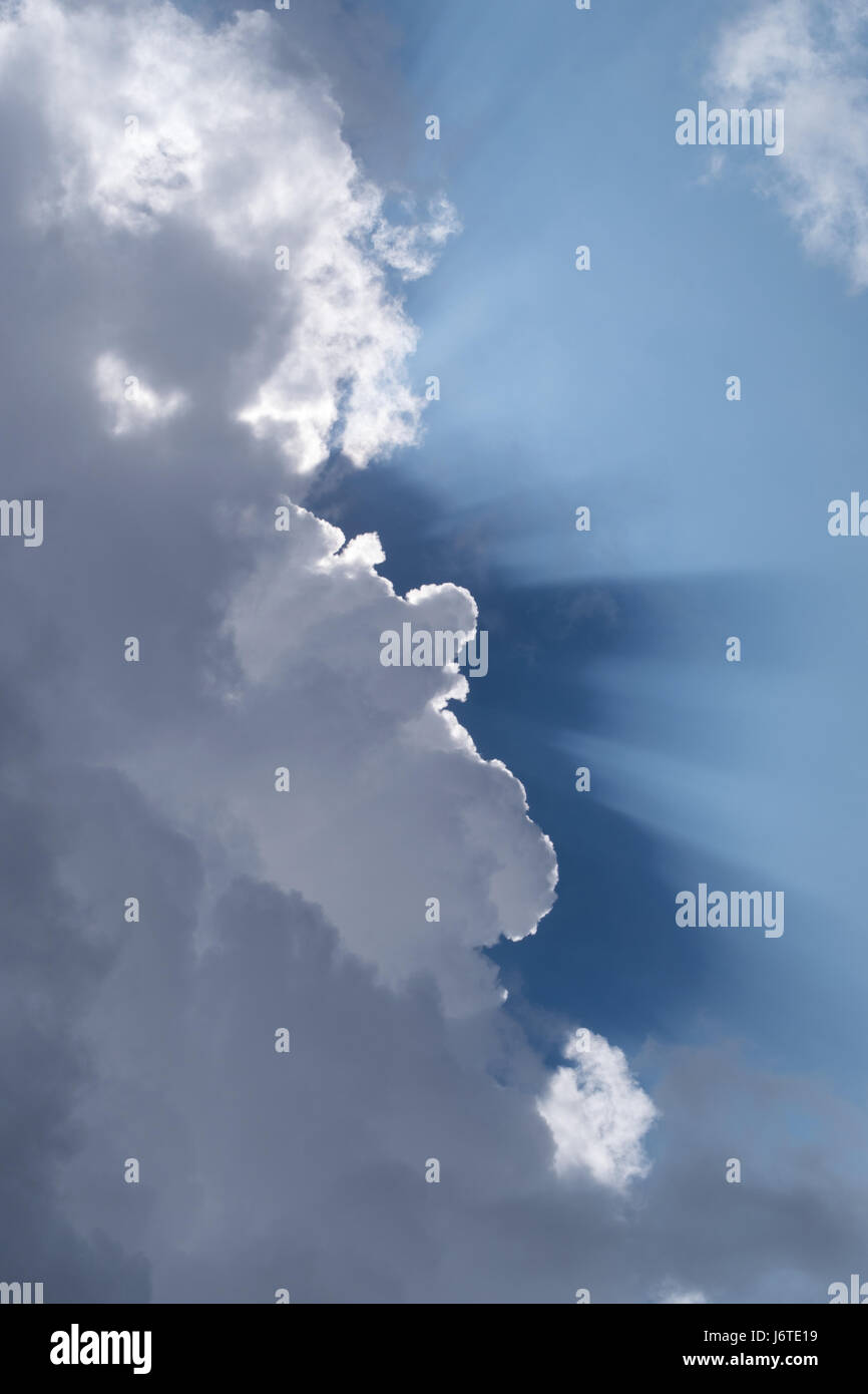 Radiating sunshine hi-res stock photography and images - Alamy