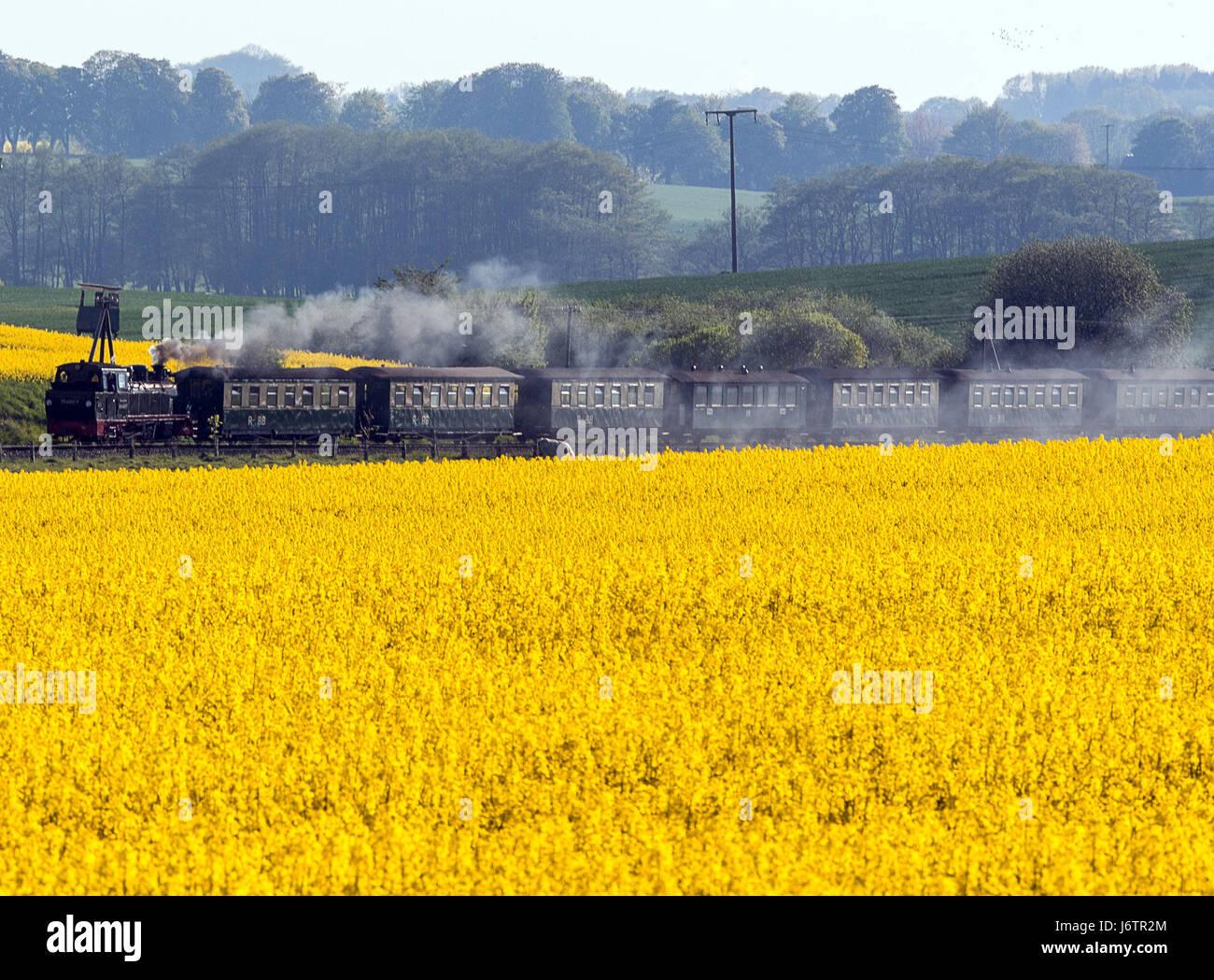 Posewald, Germany. 18th May, 2017. A type 99 1782-4 steam engine built ...