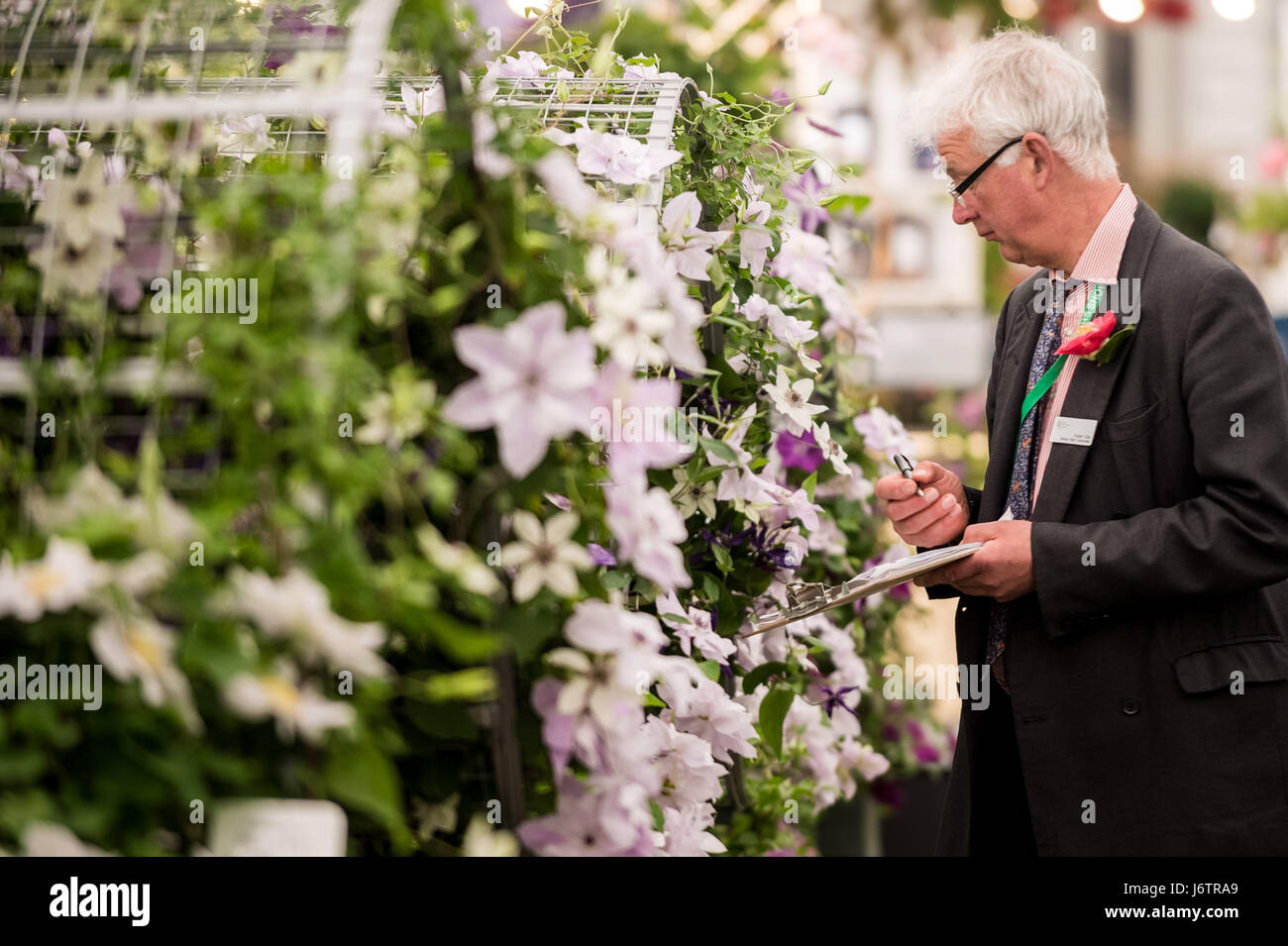 Show garden judges hi-res stock photography and images - Alamy