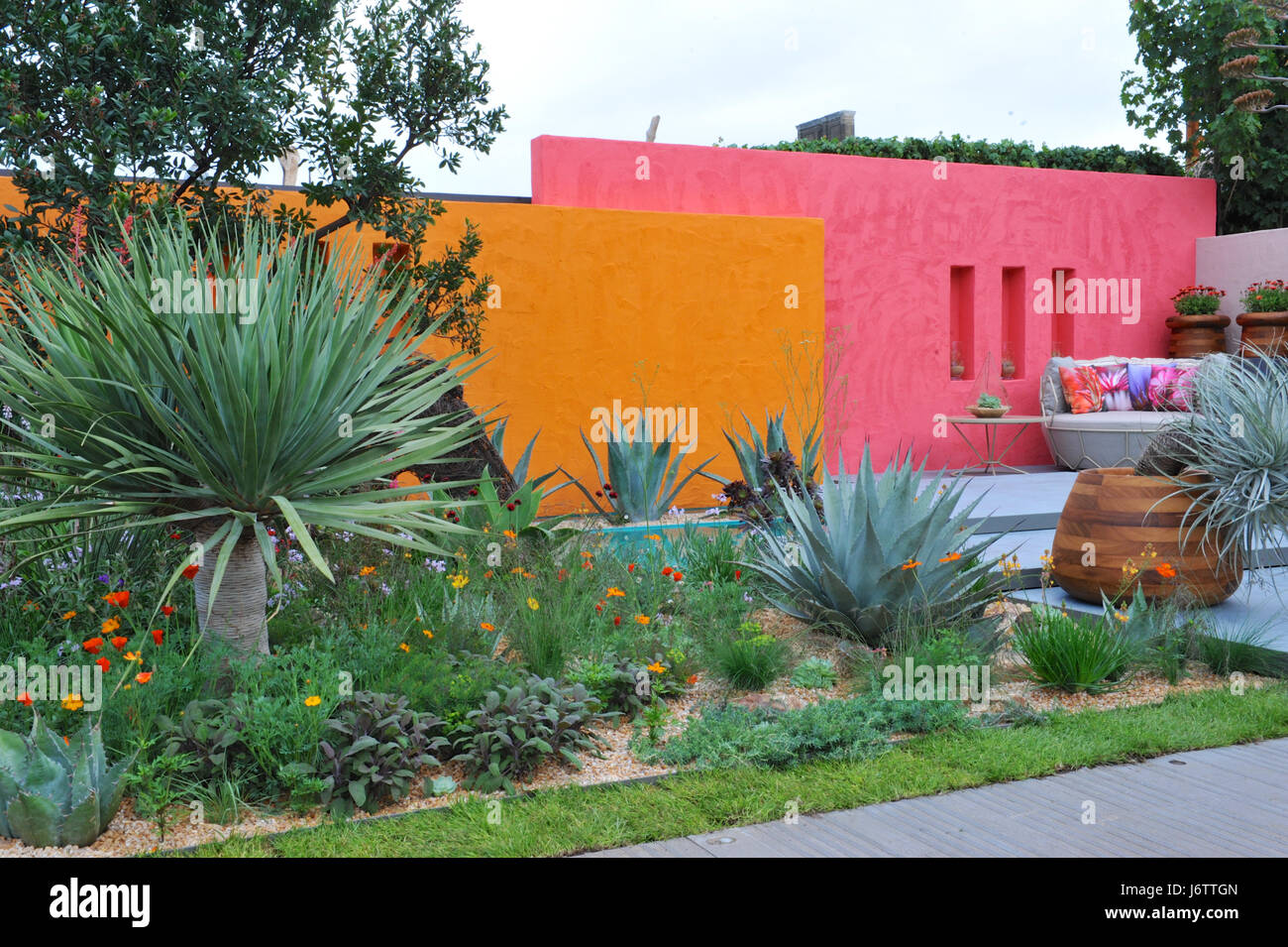 London, UK. 22nd May, 2017. The Island Homes: Beneath a Mexican Sky ...