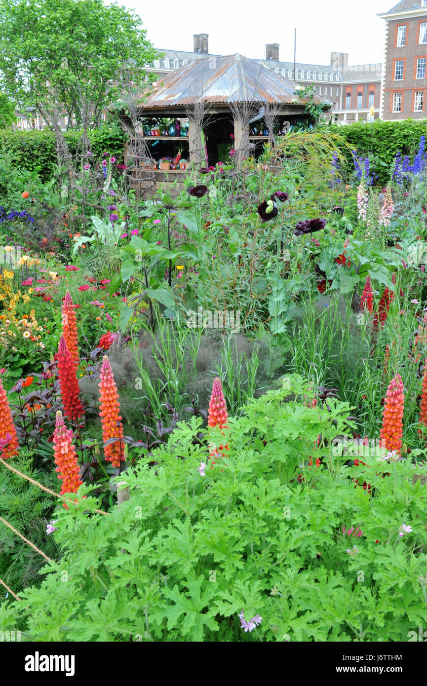 Sarah raven garden hi-res stock photography and images - Alamy