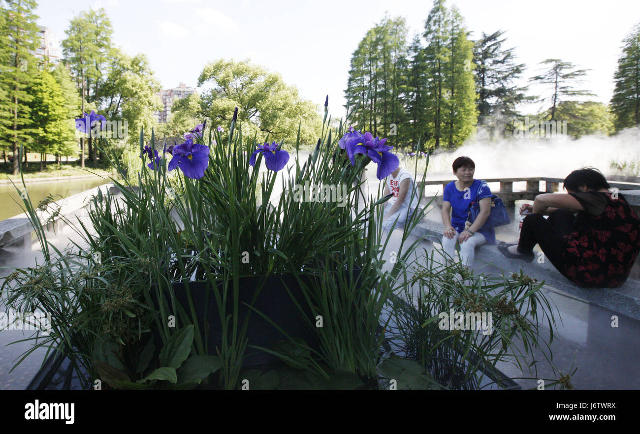 (170522) -- SHANGHAI, May 22, 2017 (Xinhua) -- People visit iris ensata ...