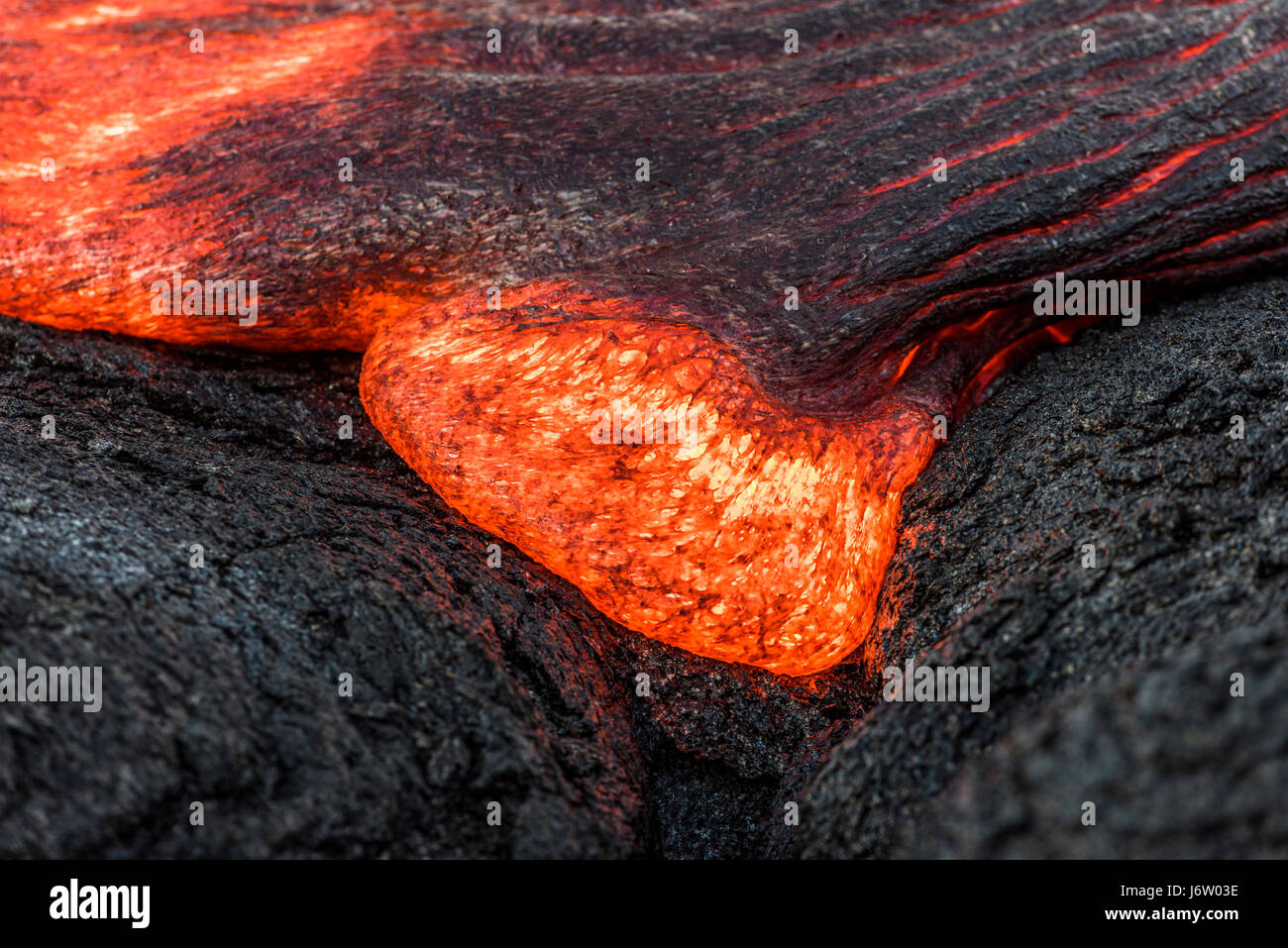 Surface flow lava oozes out of the nooks and crannies dried lava during ...