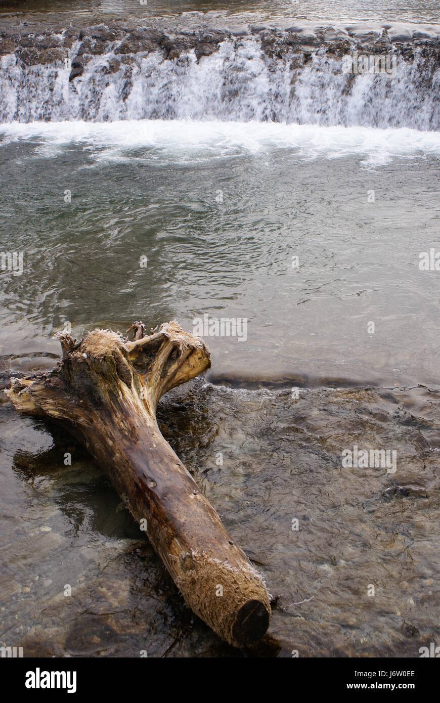 tree trunk stream waterfall river water nature tree trunk stream ...