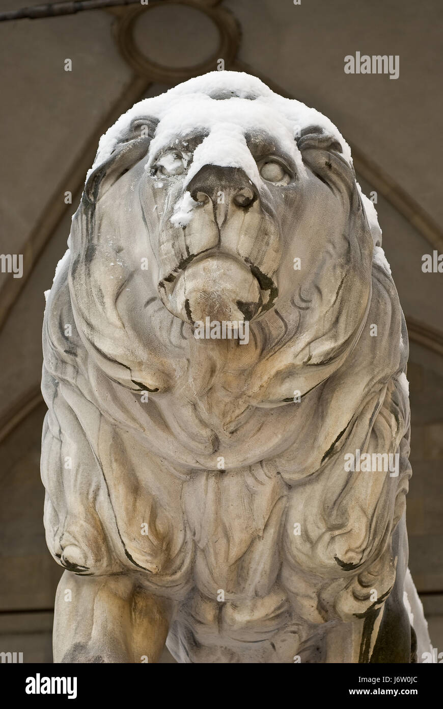 monument winter animal lion cat big cat feline predator snow coke ...