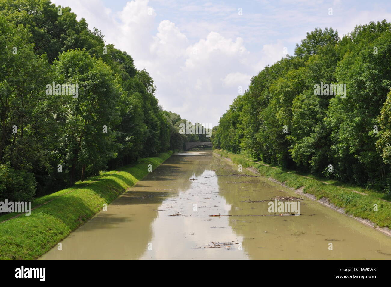 channel bavaria munich flood flotsam water blue tree trees green wood ...