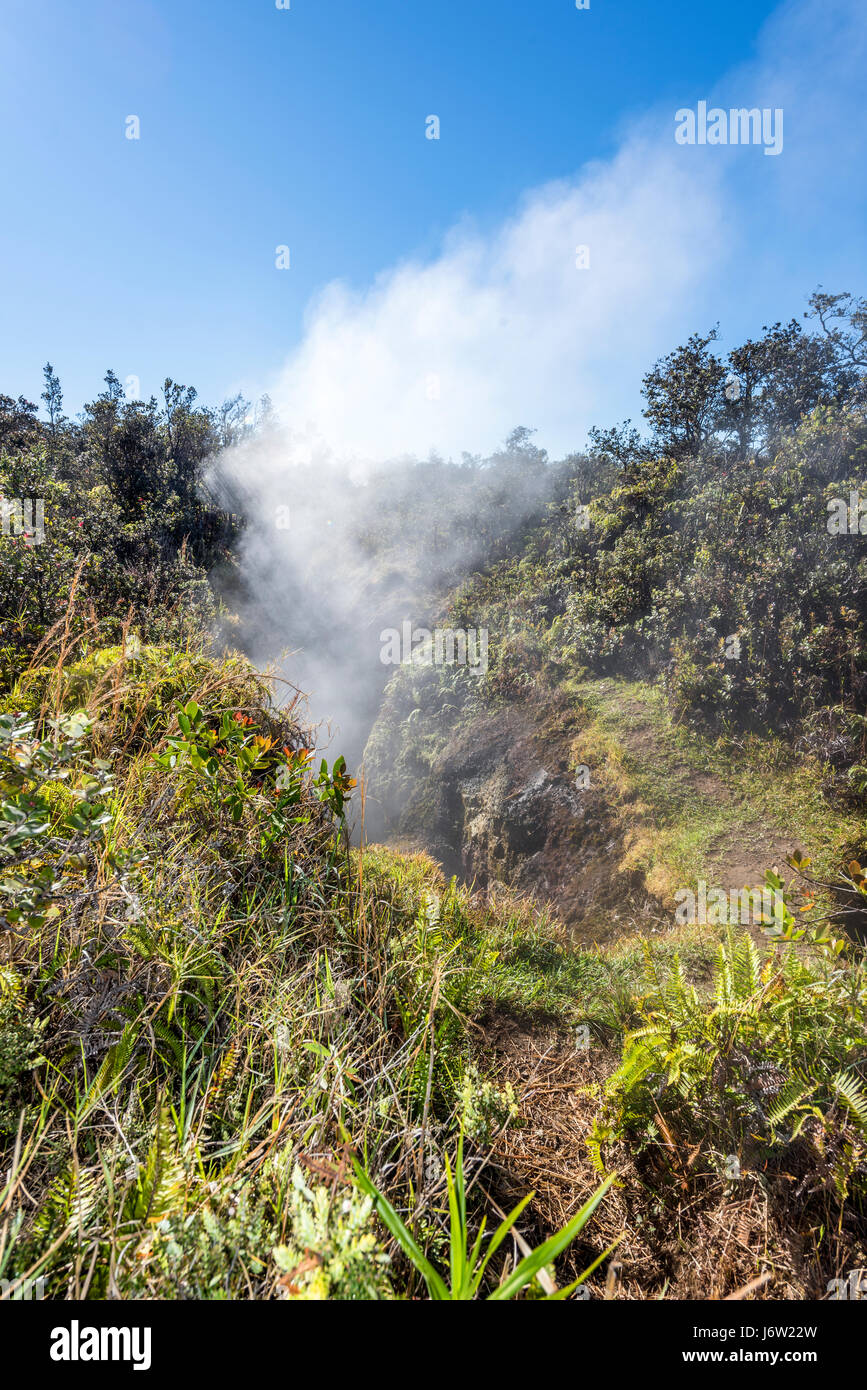 Natural steam rising from a volcanic steam vent in the earth at Volcano ...