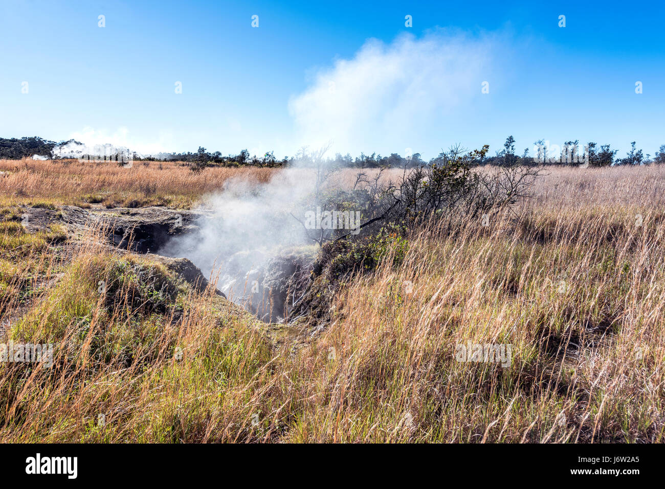 Natural steam rising from a volcanic steam vent in the earth at Volcano ...
