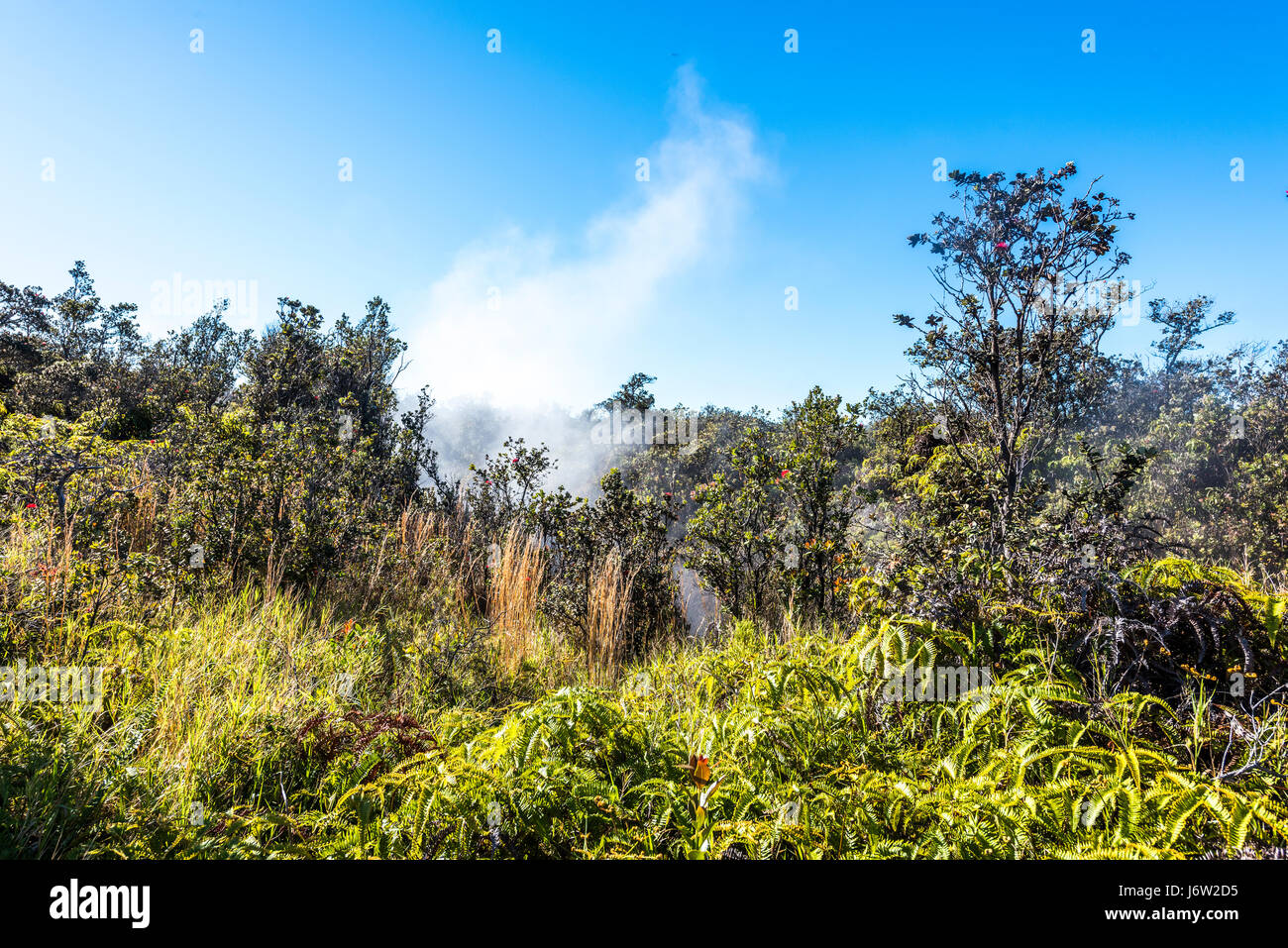Volcanic gas in kilauea hi-res stock photography and images - Alamy