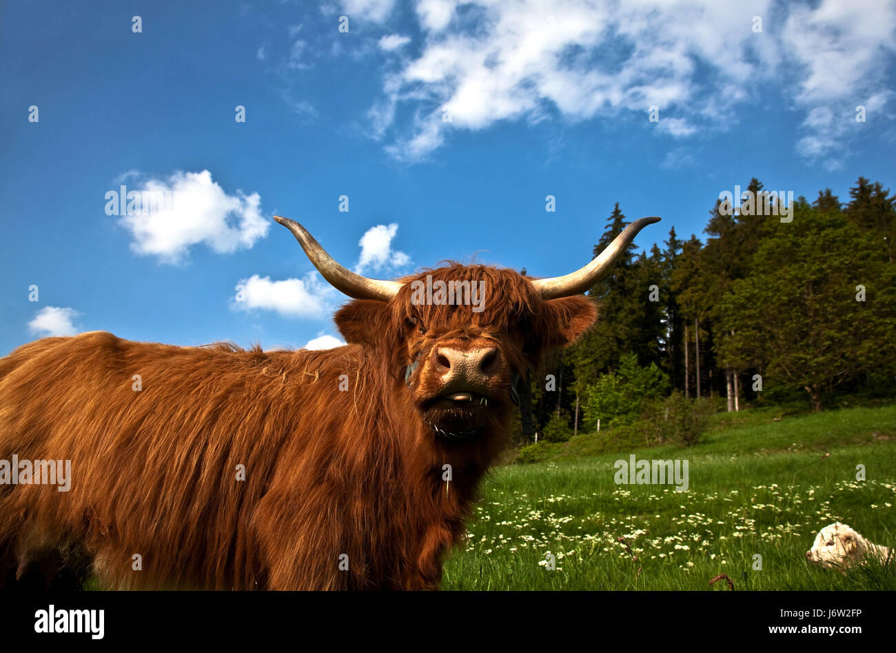 Loll about hi-res stock photography and images - Alamy