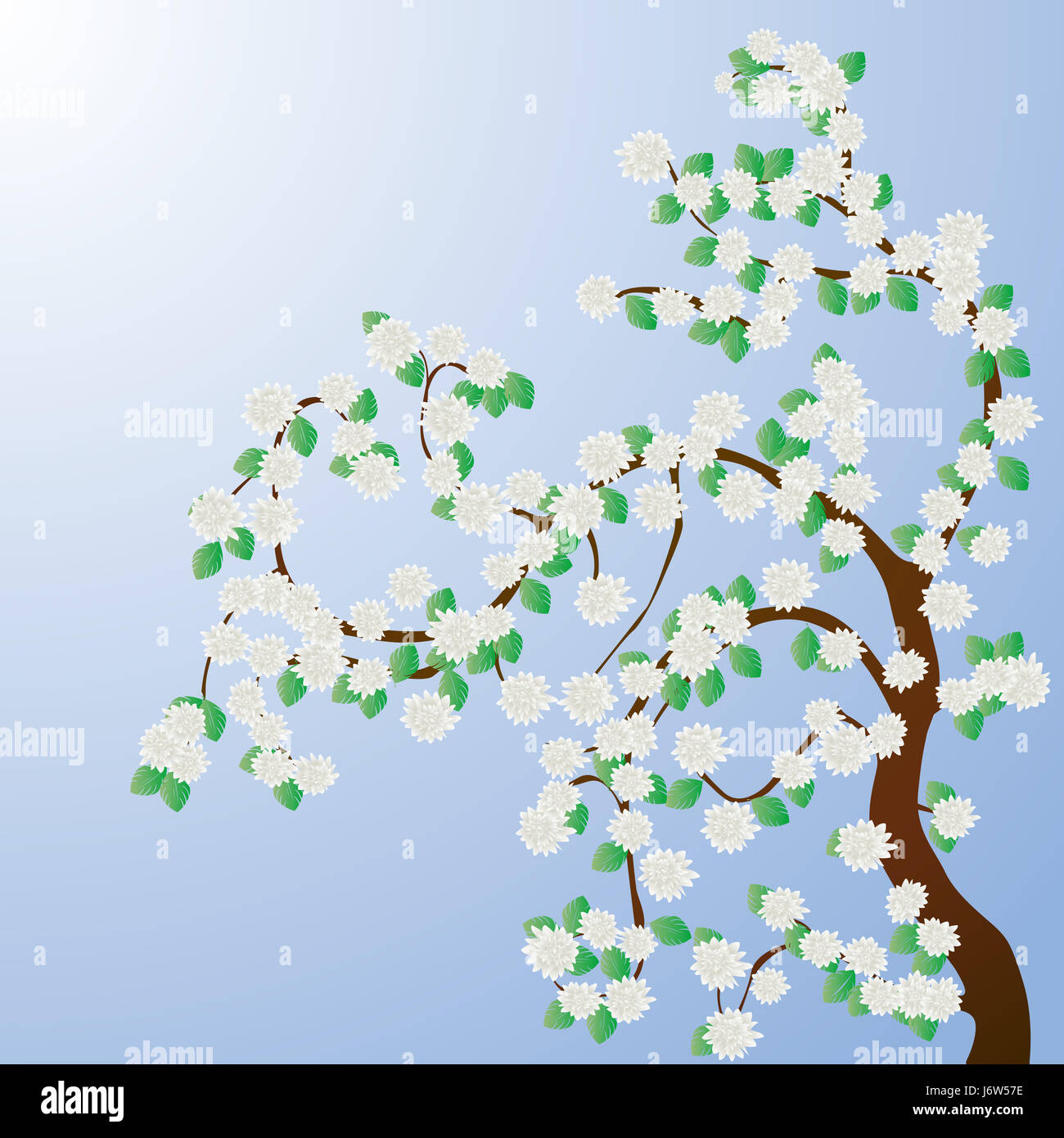 bloom blossom flourish flourishing accent artistic botanical emphasize ...