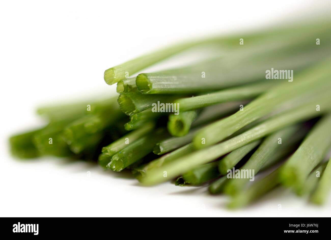 isolated ingredient lawn green backdrop background white chives chive ...