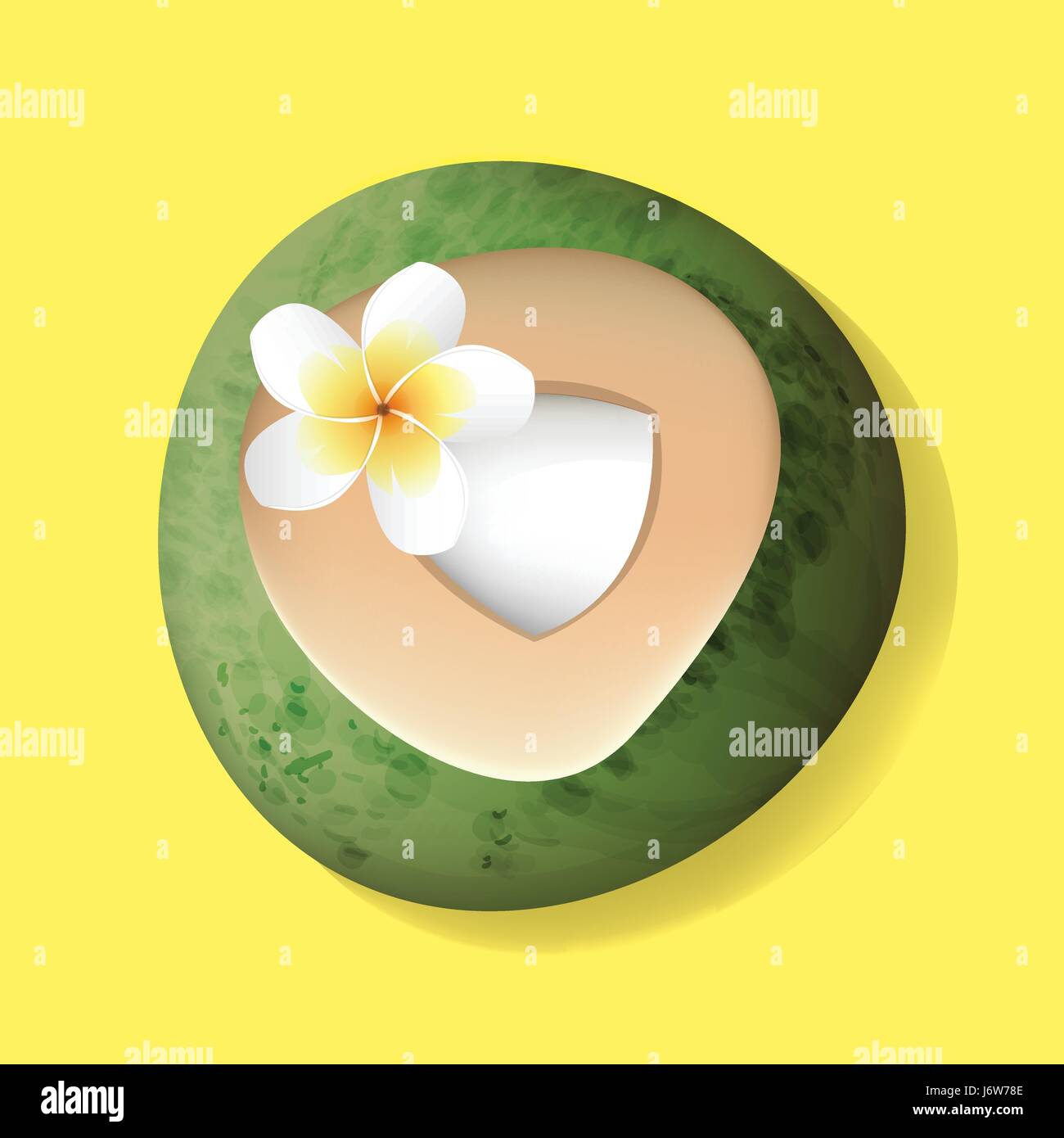 Fresh Cut Open Coconut with Flower Vector Illustration Stock Vector ...