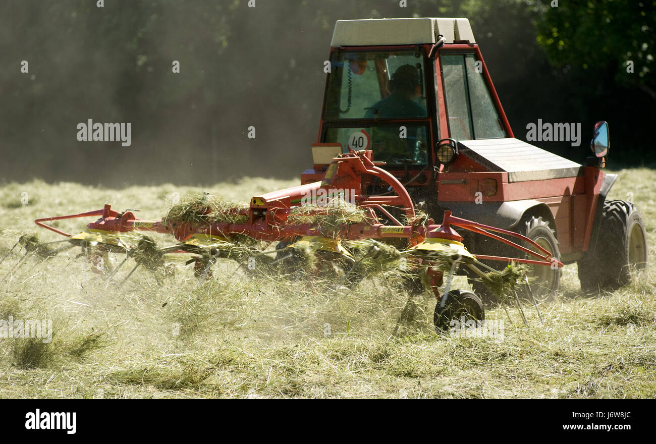 Wender hi-res stock photography and images - Alamy