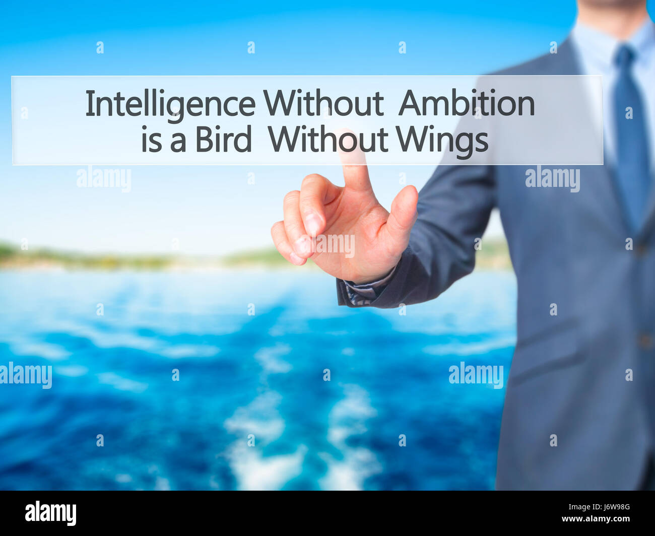 Intelligence Without Ambition is a Bird Without Wings - Businessman ...