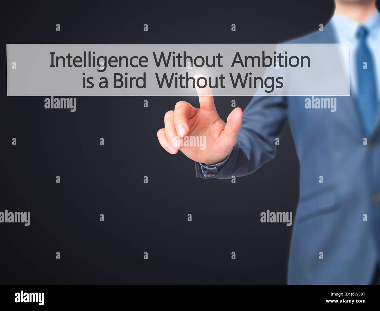 Intelligence Without Ambition is a Bird Without Wings - Businessman ...