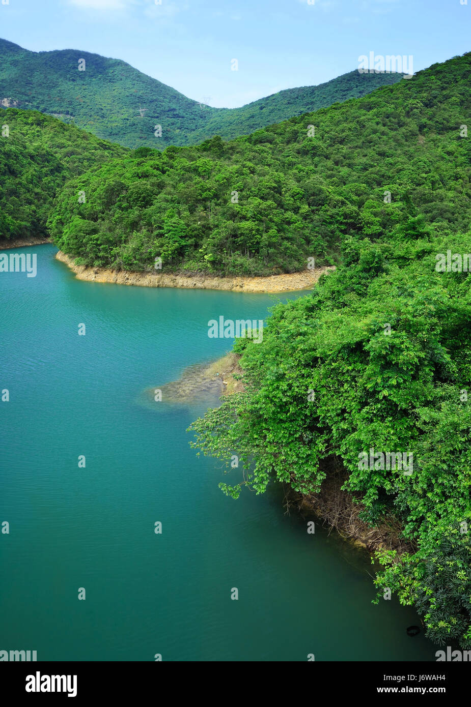 wood fresh water lake inland water water forest fresh nature blue ...