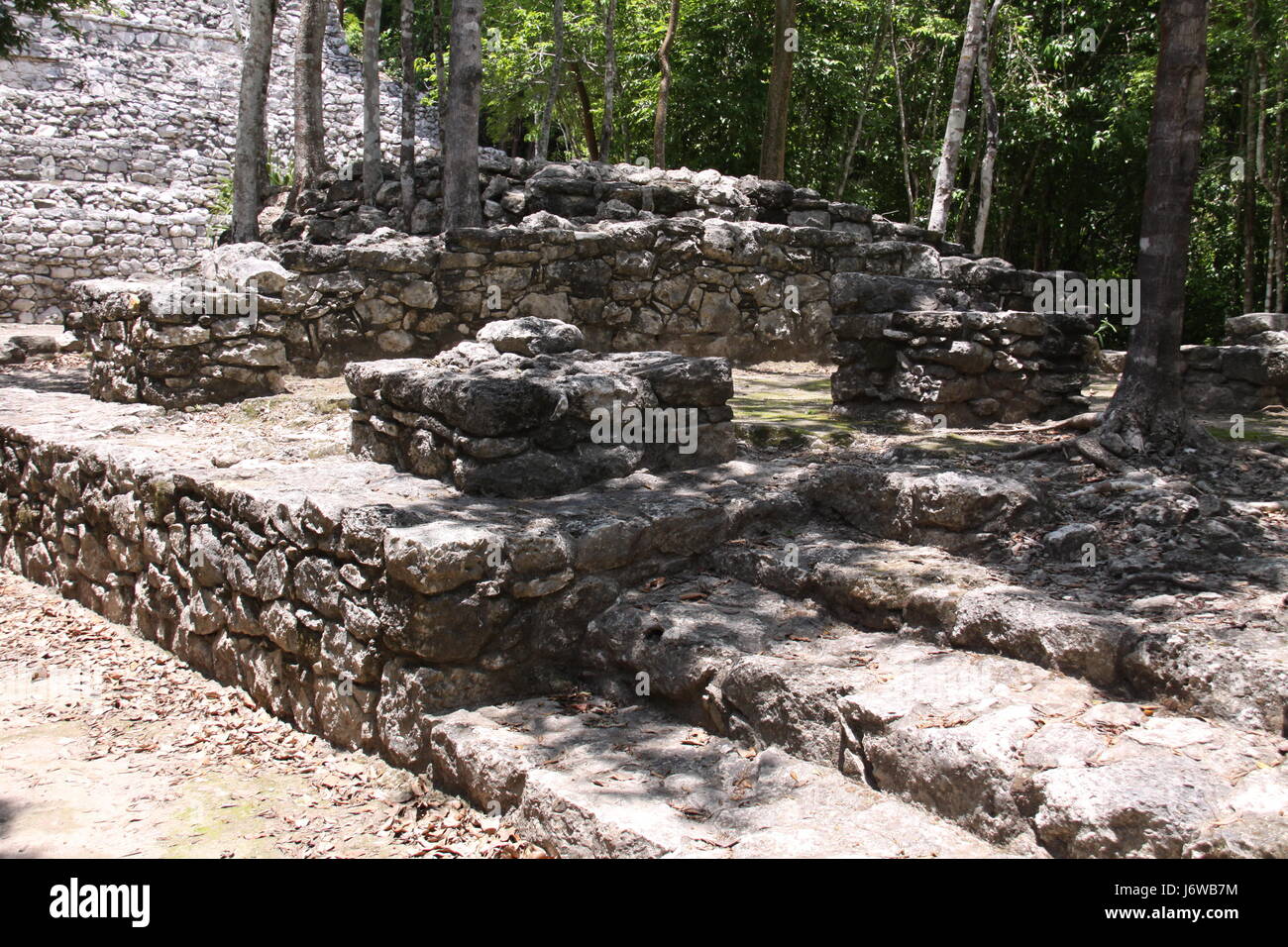 coba mayan ruins Stock Photo - Alamy