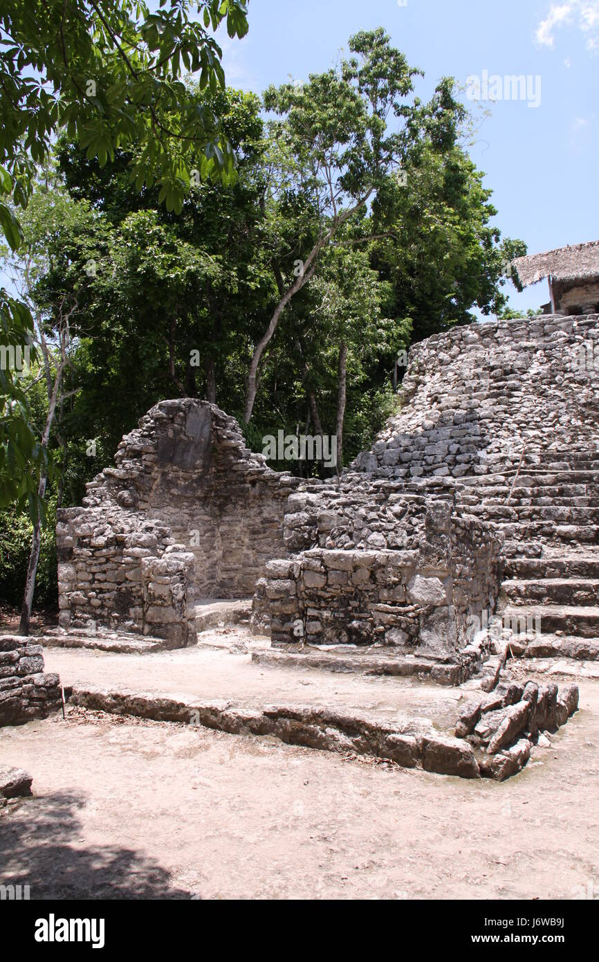 coba mayan ruins Stock Photo - Alamy
