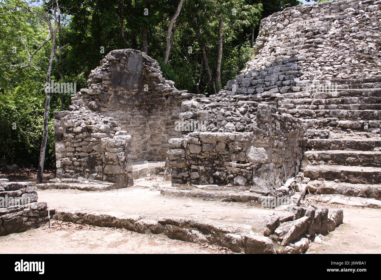 coba mayan ruins Stock Photo - Alamy