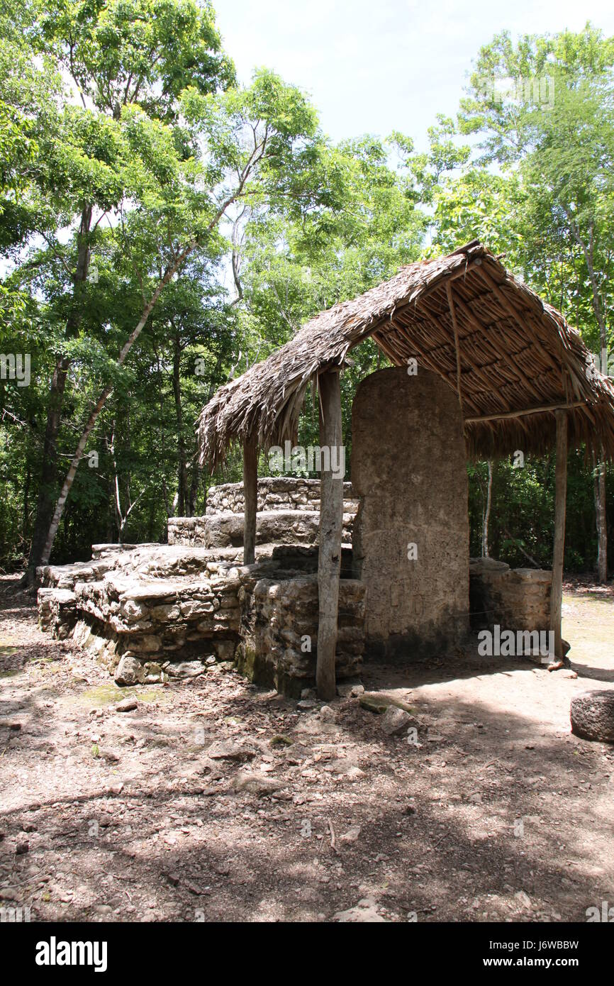 coba mayan ruins Stock Photo - Alamy