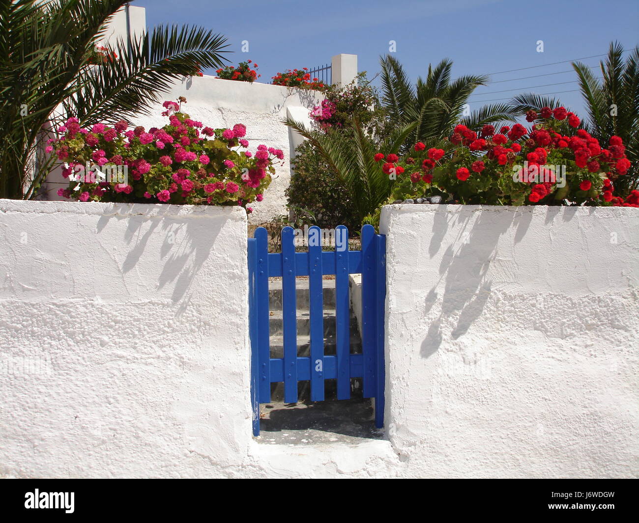 flowers on a garden gate in santorini Stock Photo - Alamy