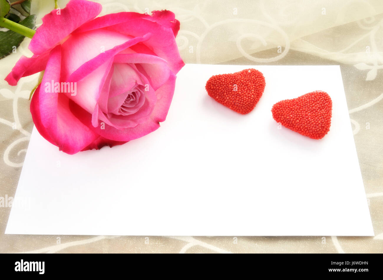 flower plant rose letter love letter message love in love fell in love ...