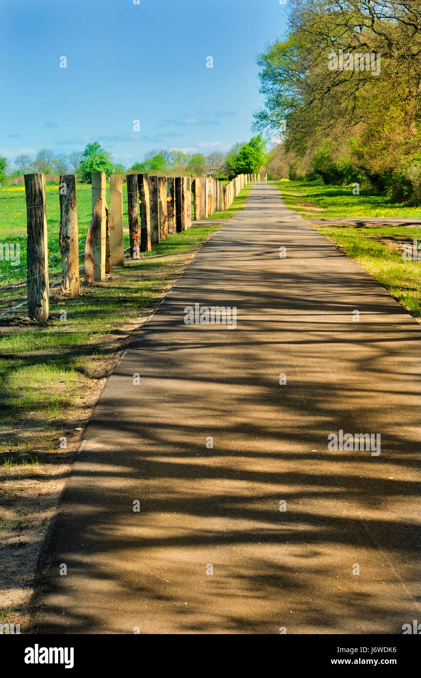 shine shines bright lucent light serene luminous fence acre walk path ...
